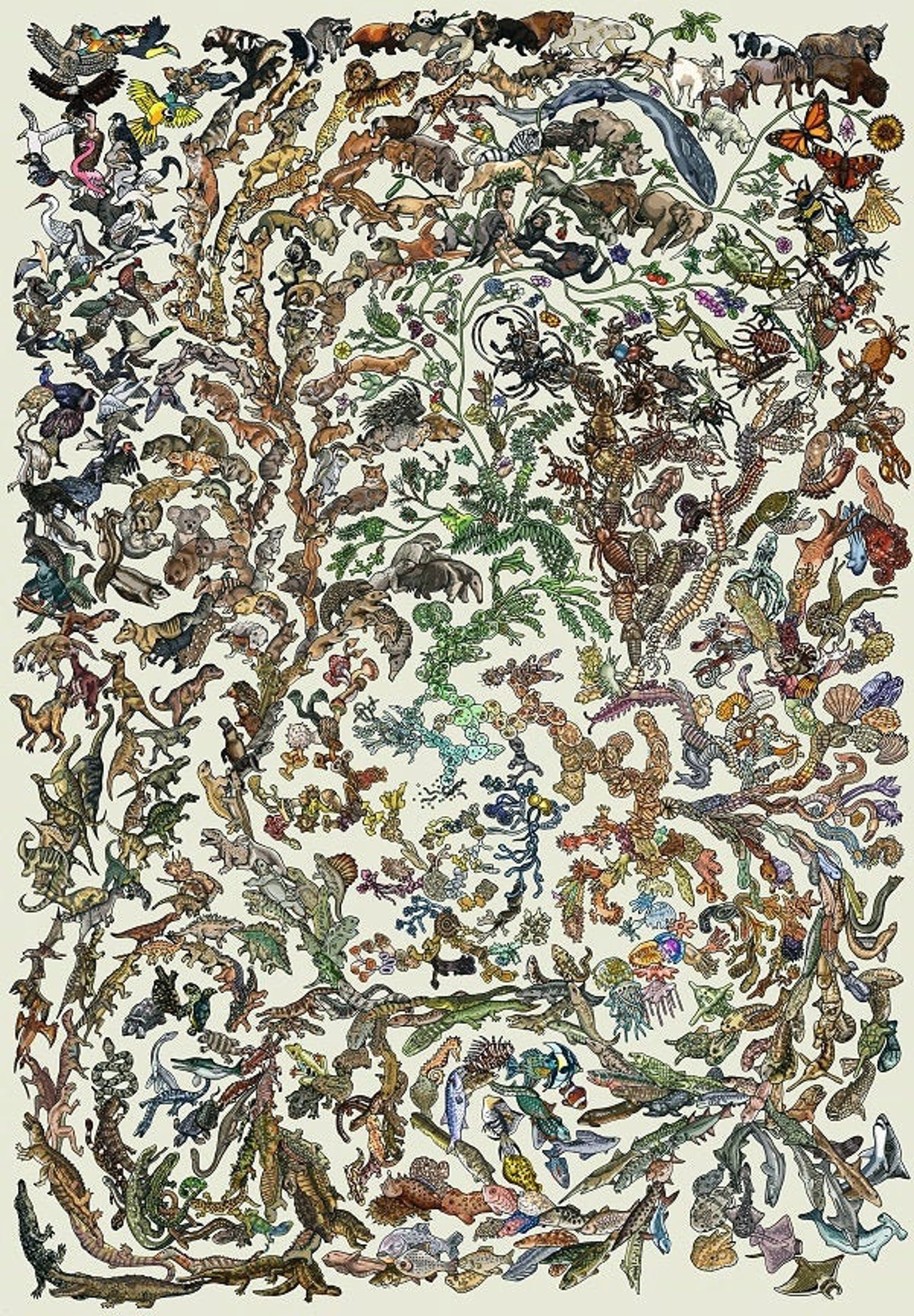 Darwinian Evolution Poster: Phylogenetic Tree of Life Art - Etsy