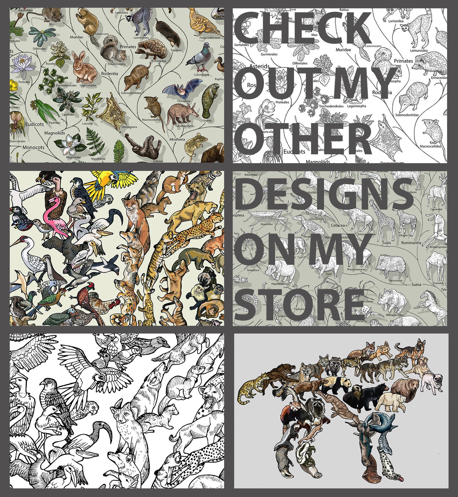 Darwinian Evolution Poster: Phylogenetic Tree of Life Art - Etsy