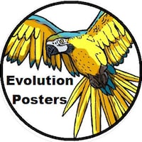 Phylogenetic Tree of Life Poster: Darwinian Evolution Art - Etsy UK