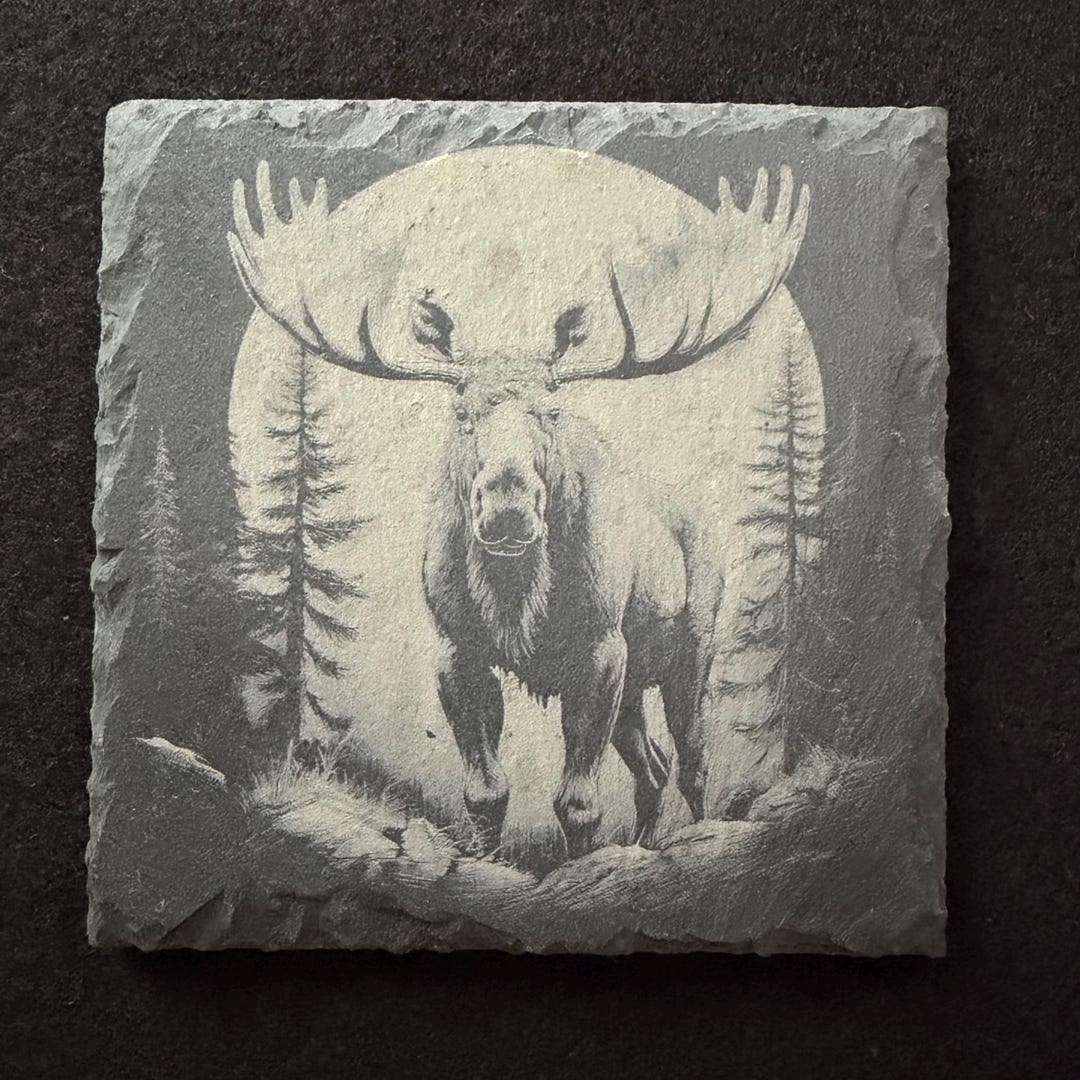 Laser Engraved Slate Coaster - Wildlife - Moose - Etsy