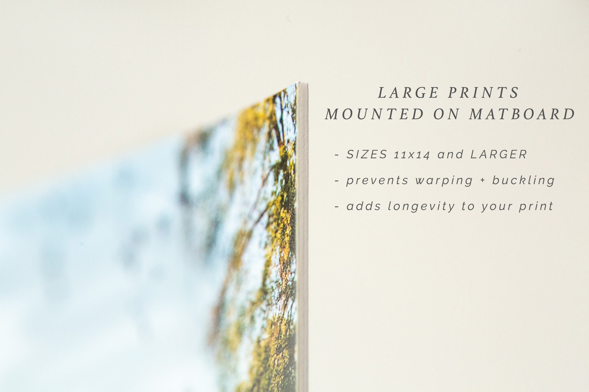 Ohio State Large Wall Art, OSU Graduation Gift, Framed Horseshoe ...