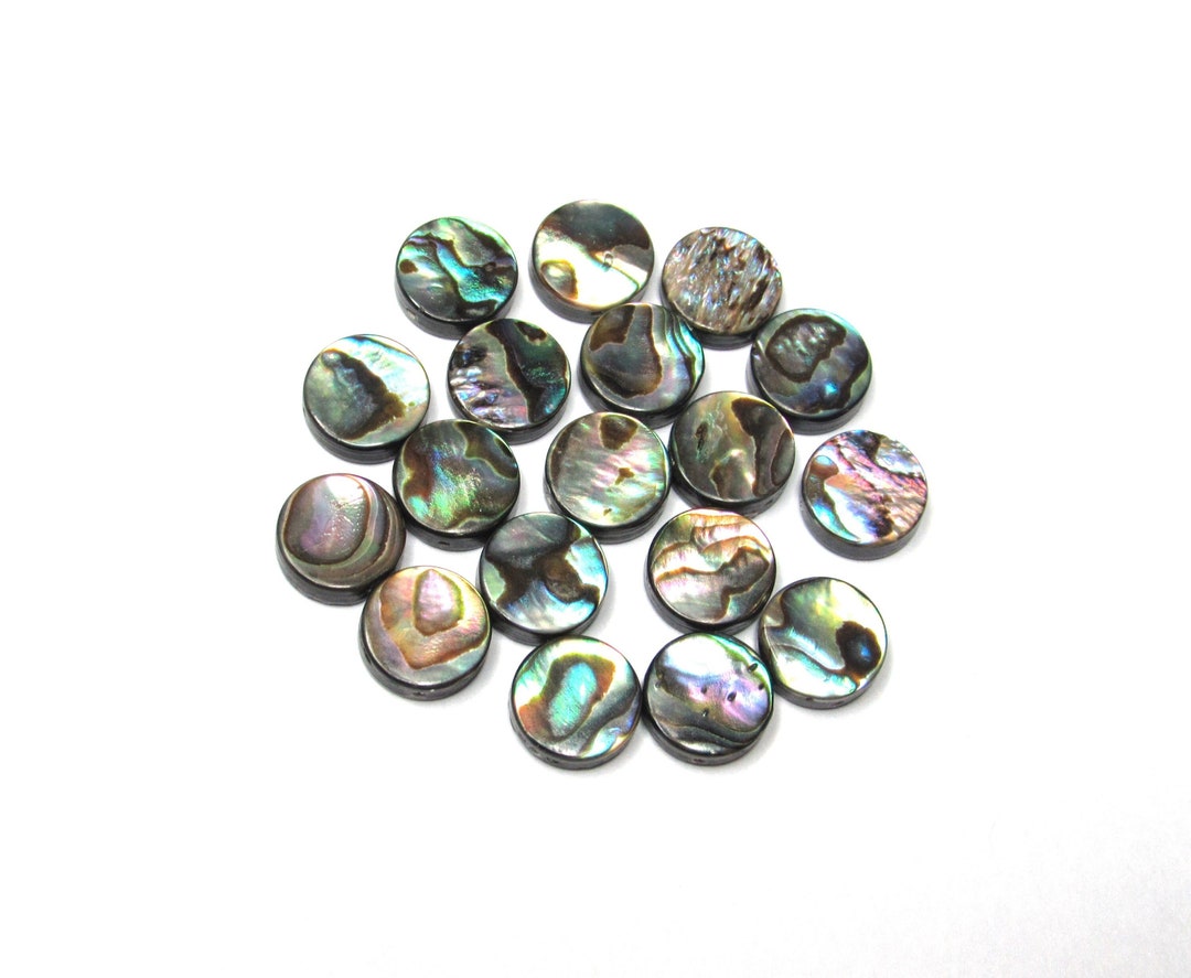 18 Pc 10 X 3 Mm Abalone Natural Shell Disc Beads Beading Supplies ...
