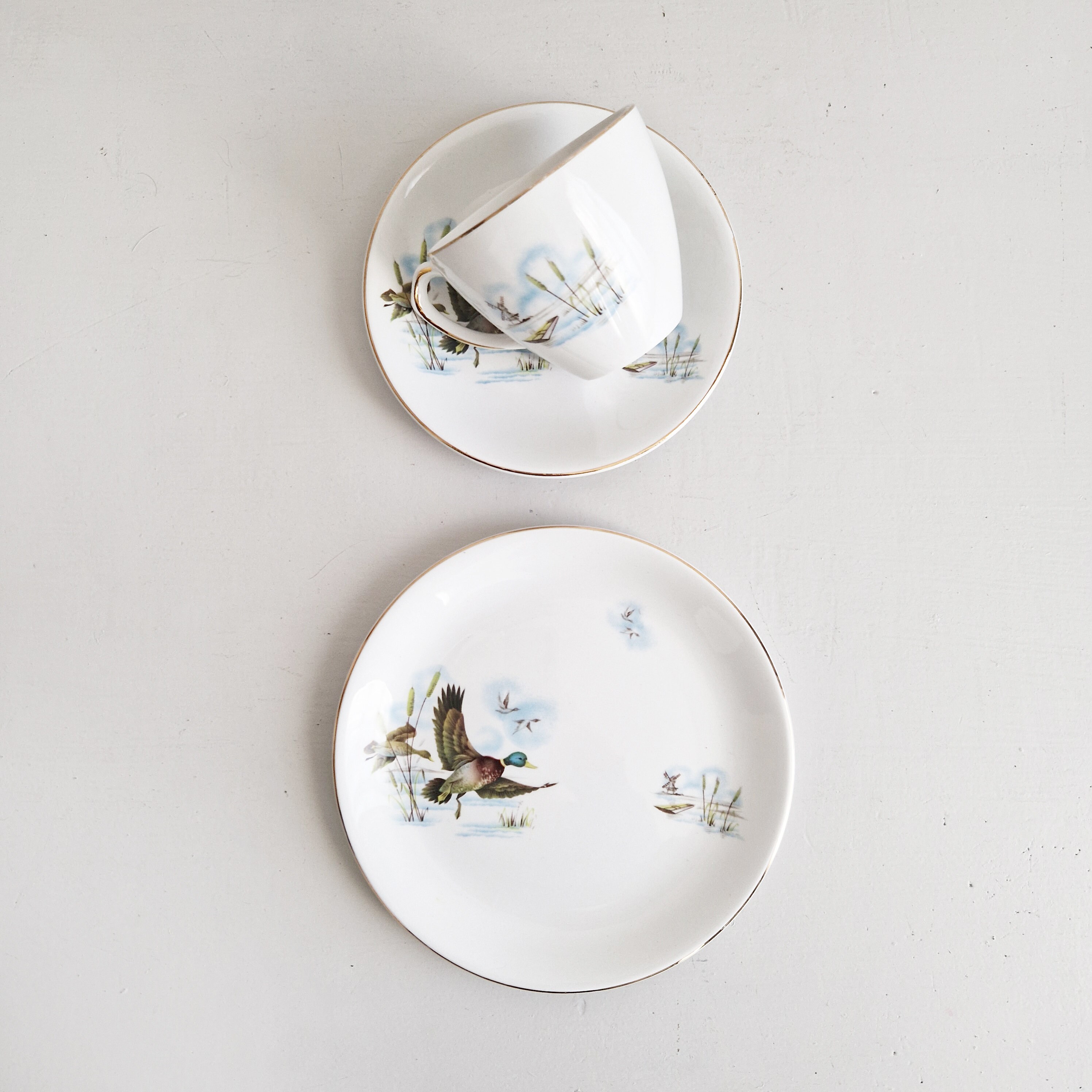 1950s Alfred Meakin fenland Tea Set, 1950s Flying Mallard Tea Set, Mid ...