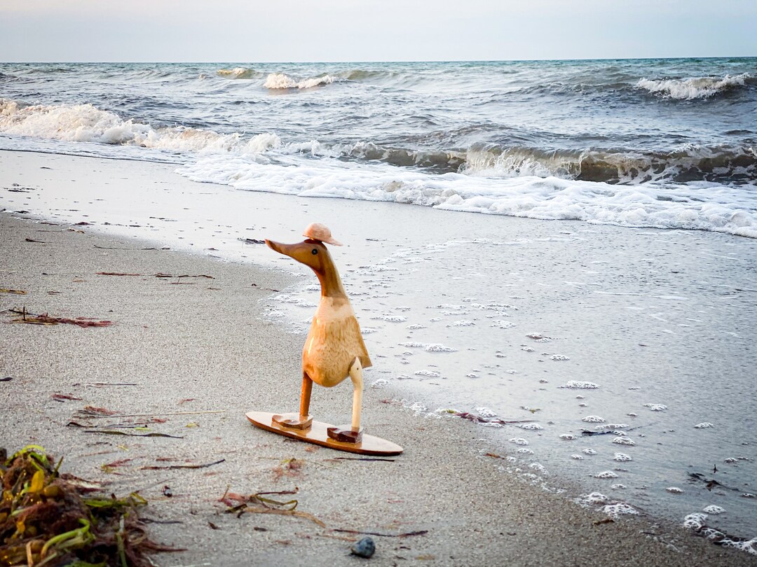 Surfer Duck With Cap and Sandup Board Approx. 25 Cm High Natural ...