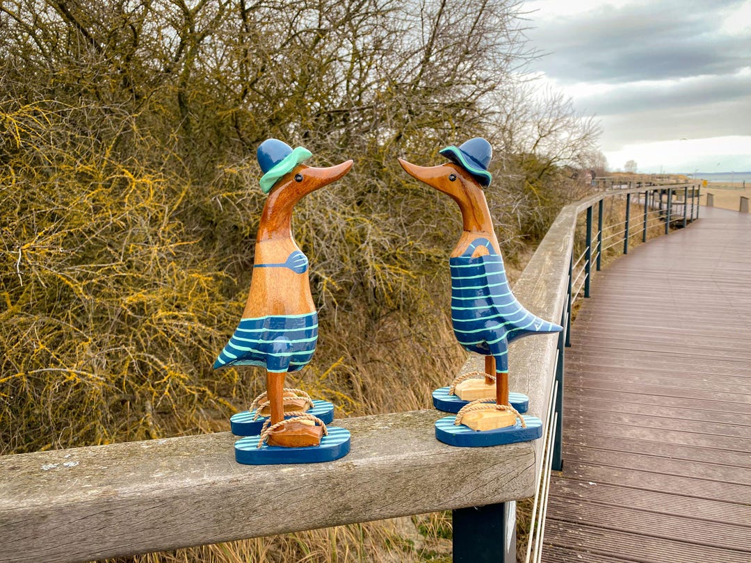 Runner Duck With Hat and Flip Flops in Dark Blue and Turquoise Striped ...