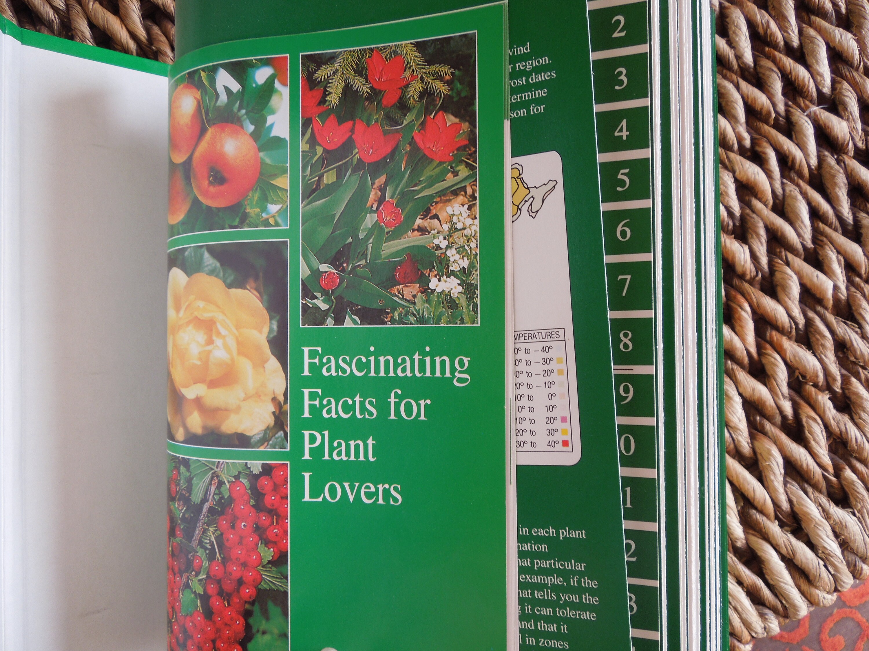 Successful Gardening 3-ring Binder A Complete Step by Step Gardening ...