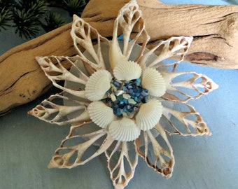 Sea shell beach ornament round Sea shell collage art_beach | Etsy