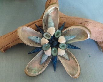 Sea shell beach ornament round Sea shell collage art_beach | Etsy