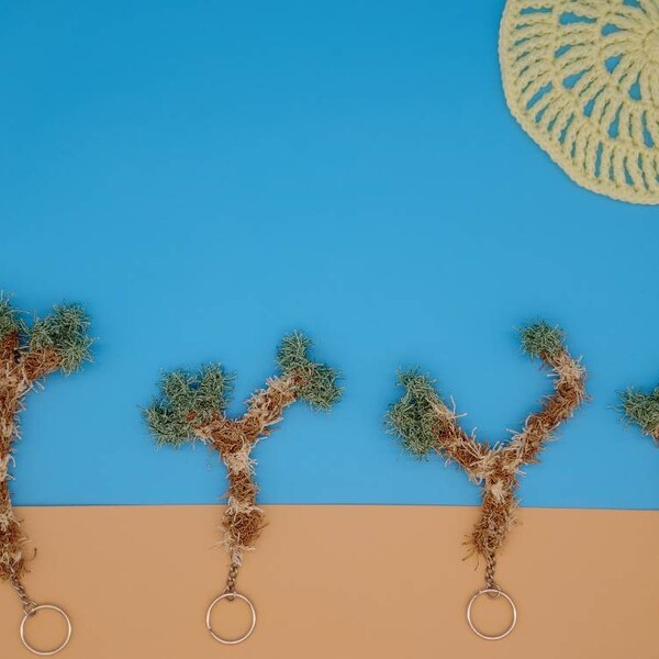 Joshua Tree Crafts - Etsy