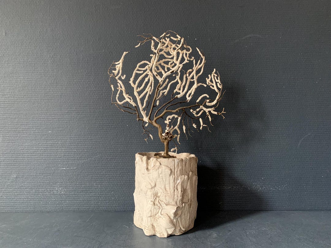 Art Nouveau Plaster Tree Stump Base With Plant Decoration, 1900 - Etsy