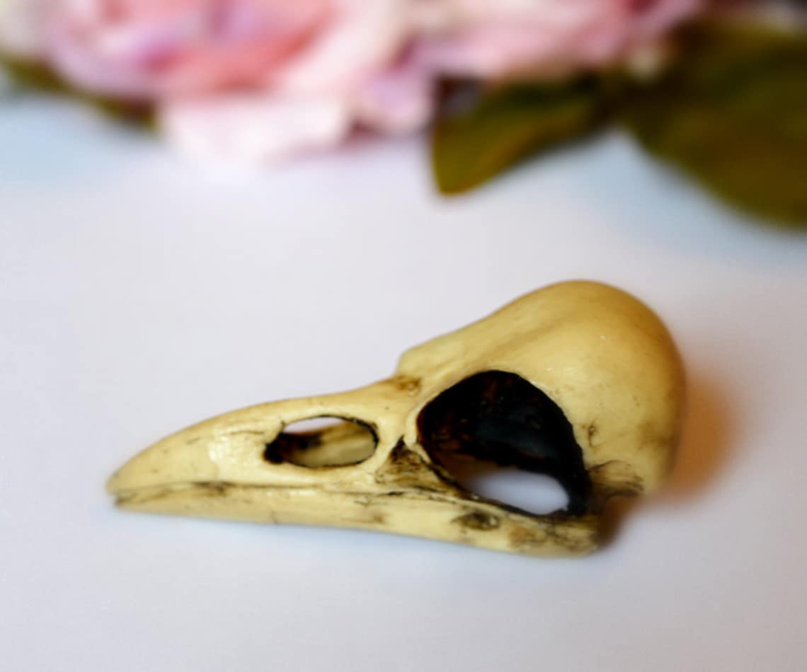 Raven Skull Replica With Customizable Handmade Certificate and - Etsy UK