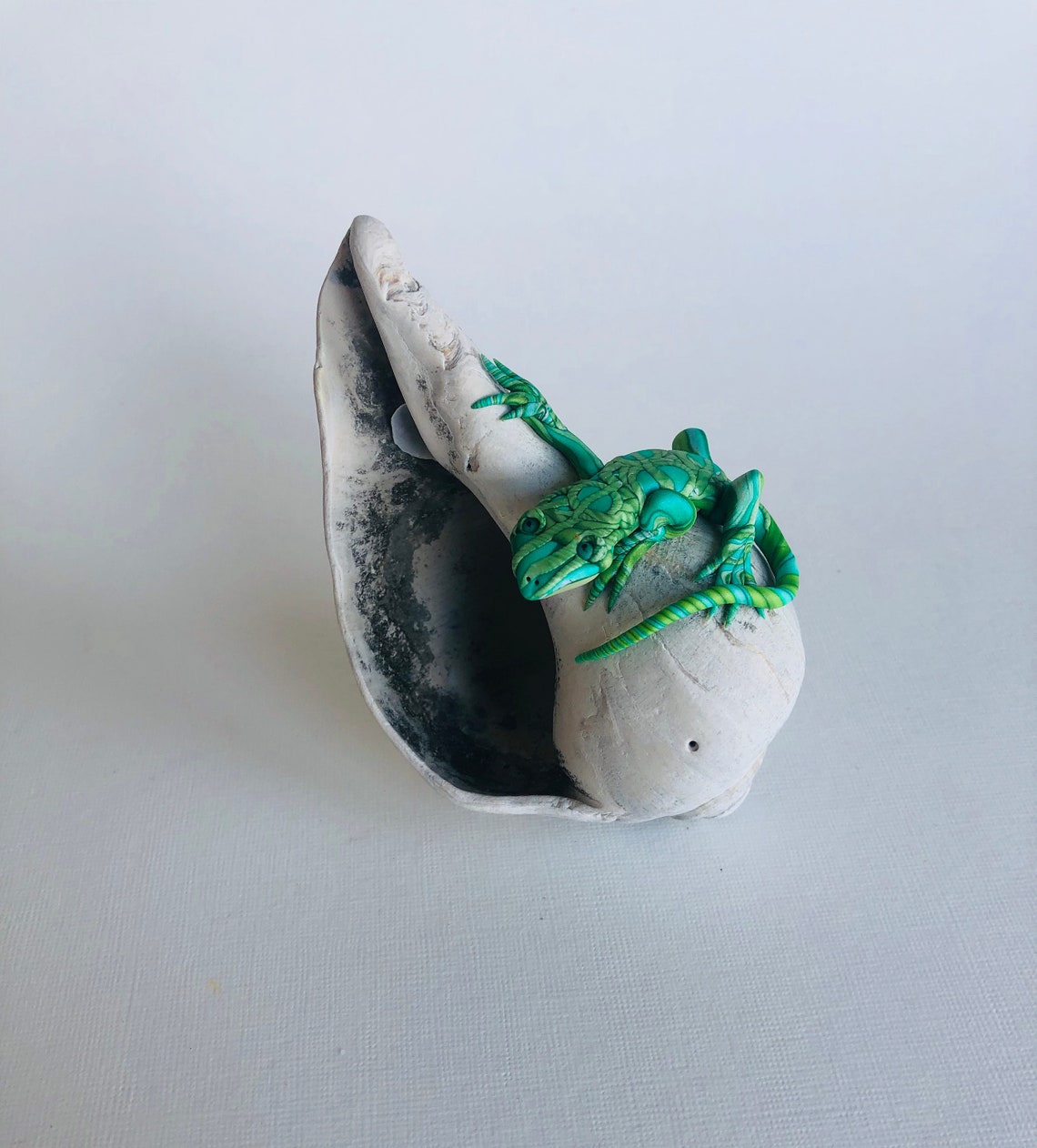 Clay Lizard on a Shell Sitting Sculpture Figurine - Etsy