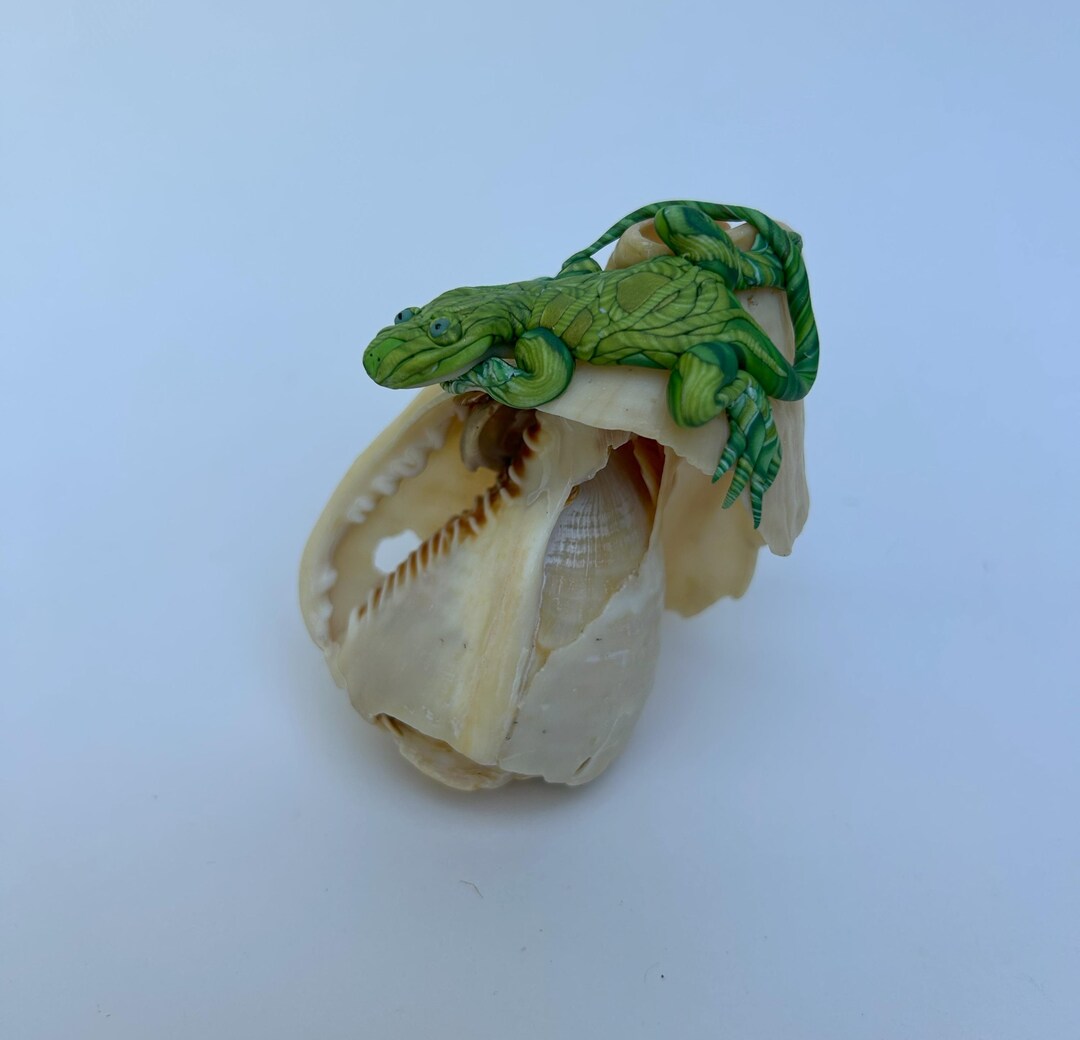 Green Clay Lizard on a Found Shell Sitting Sculpture Figurine - Etsy