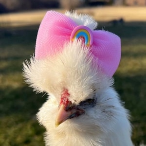 Mini Tulle Rainbow Hair Bow for Silkie Chickens - Etsy