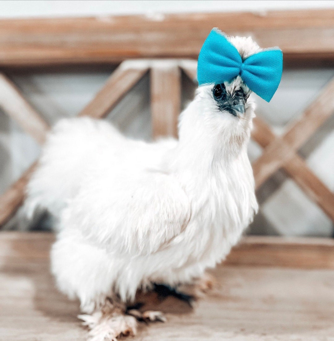 Silkie Chicken Tulle Hair Bows: Handmade Pet Accessories, Set of 3 - Etsy