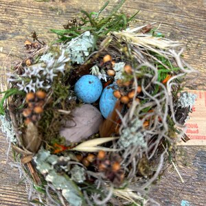 Enchanted Farmstead Nest – Handcrafted With Painted Pecan Eggs - Etsy