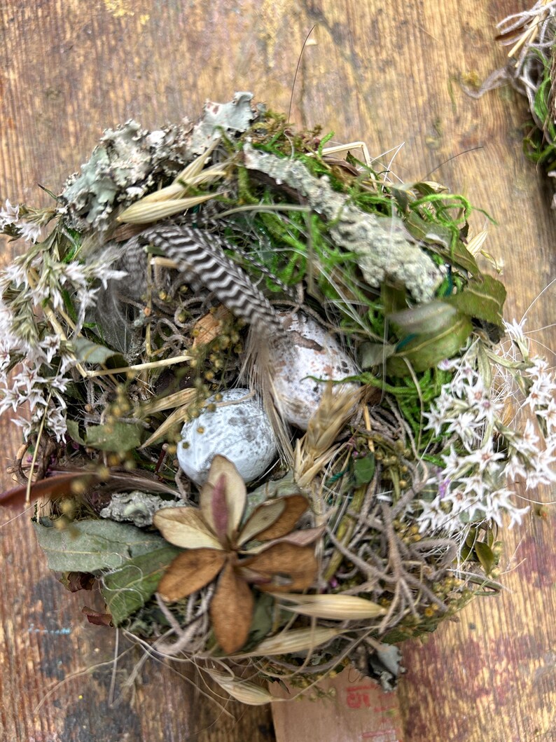 Enchanted Farmstead Nest – Handcrafted With Painted Pecan Eggs - Etsy