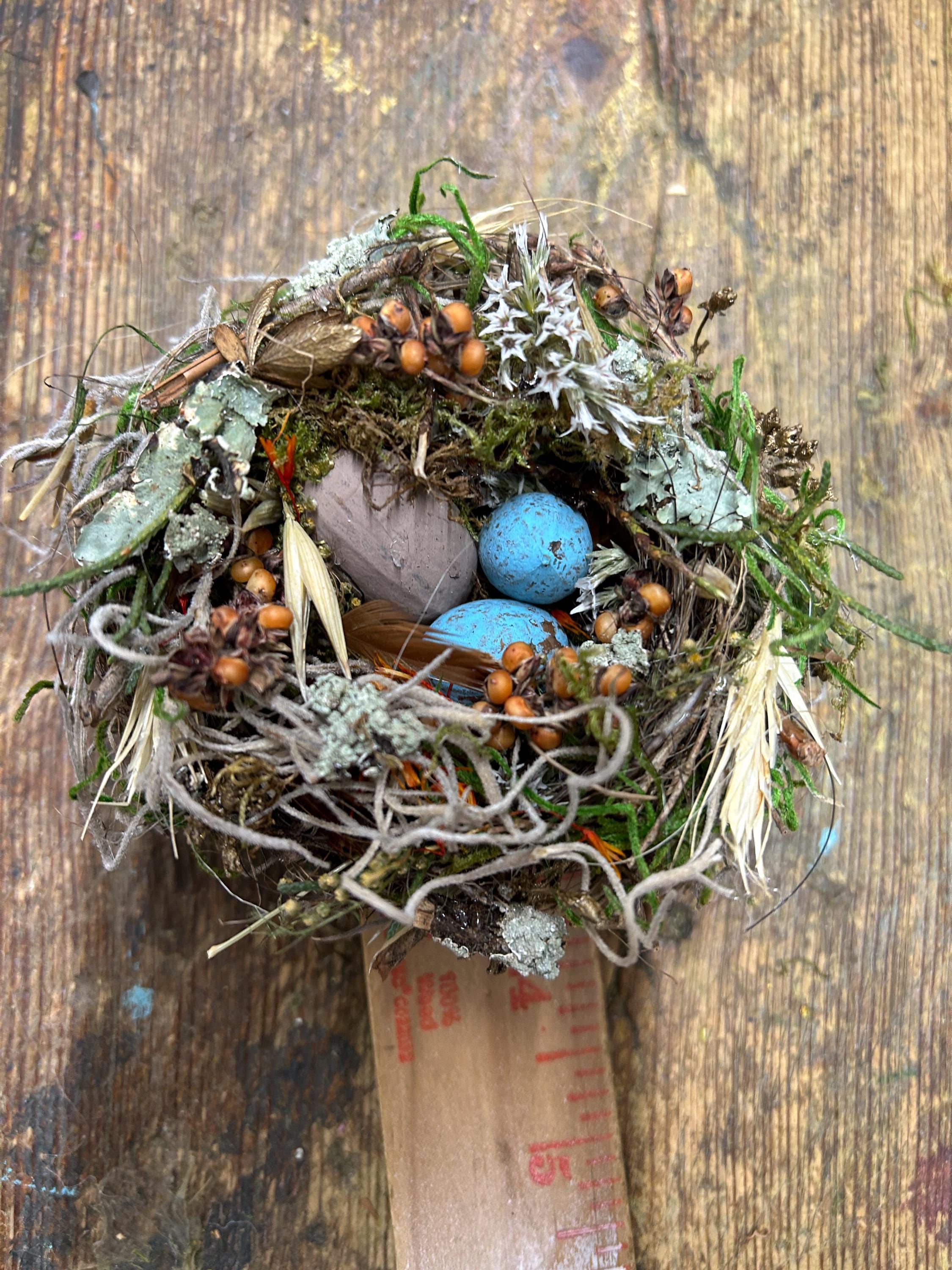 Enchanted Farmstead Nest – Handcrafted With Painted Pecan Eggs - Etsy