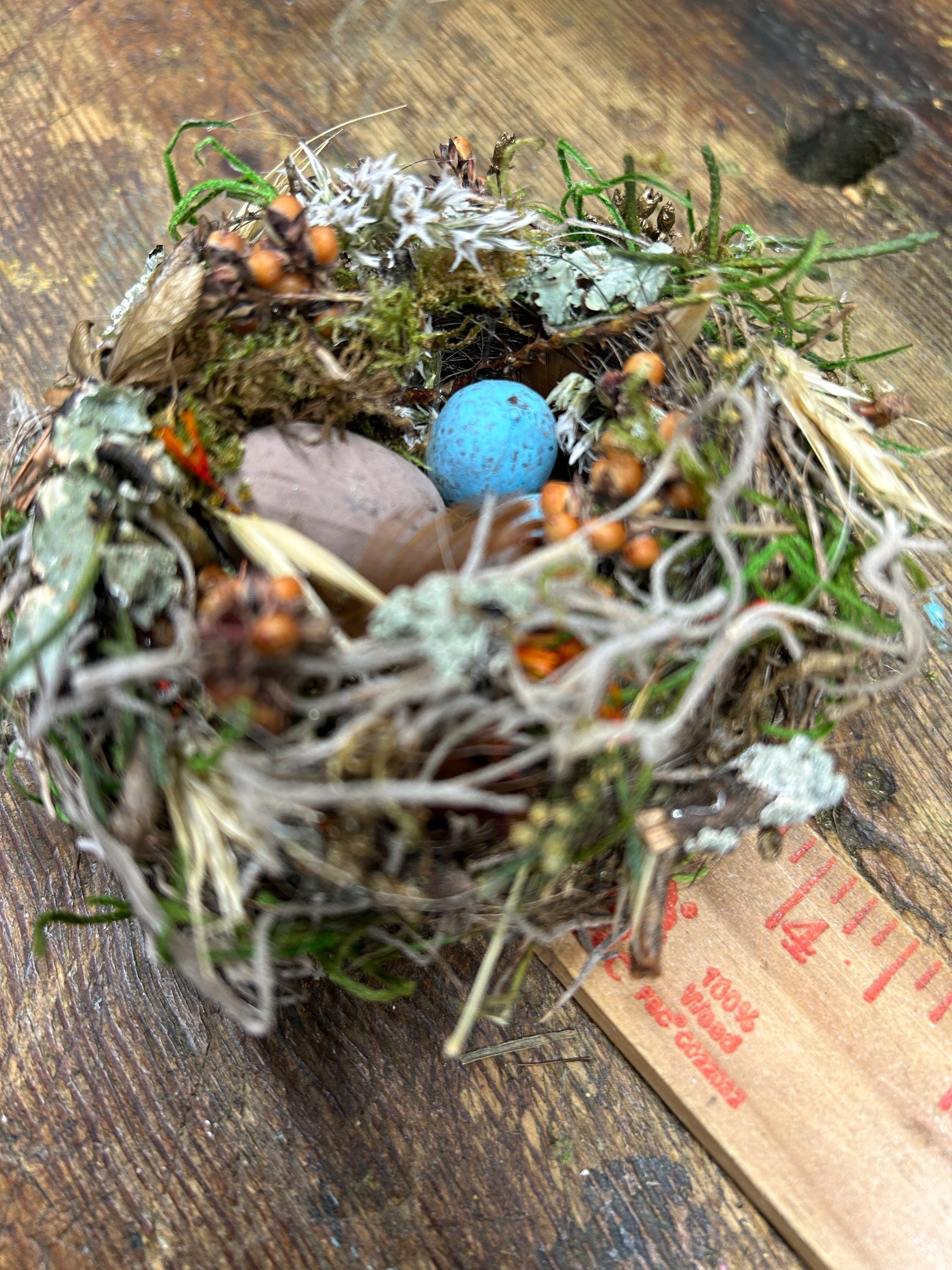 Enchanted Farmstead Nest – Handcrafted With Painted Pecan Eggs - Etsy