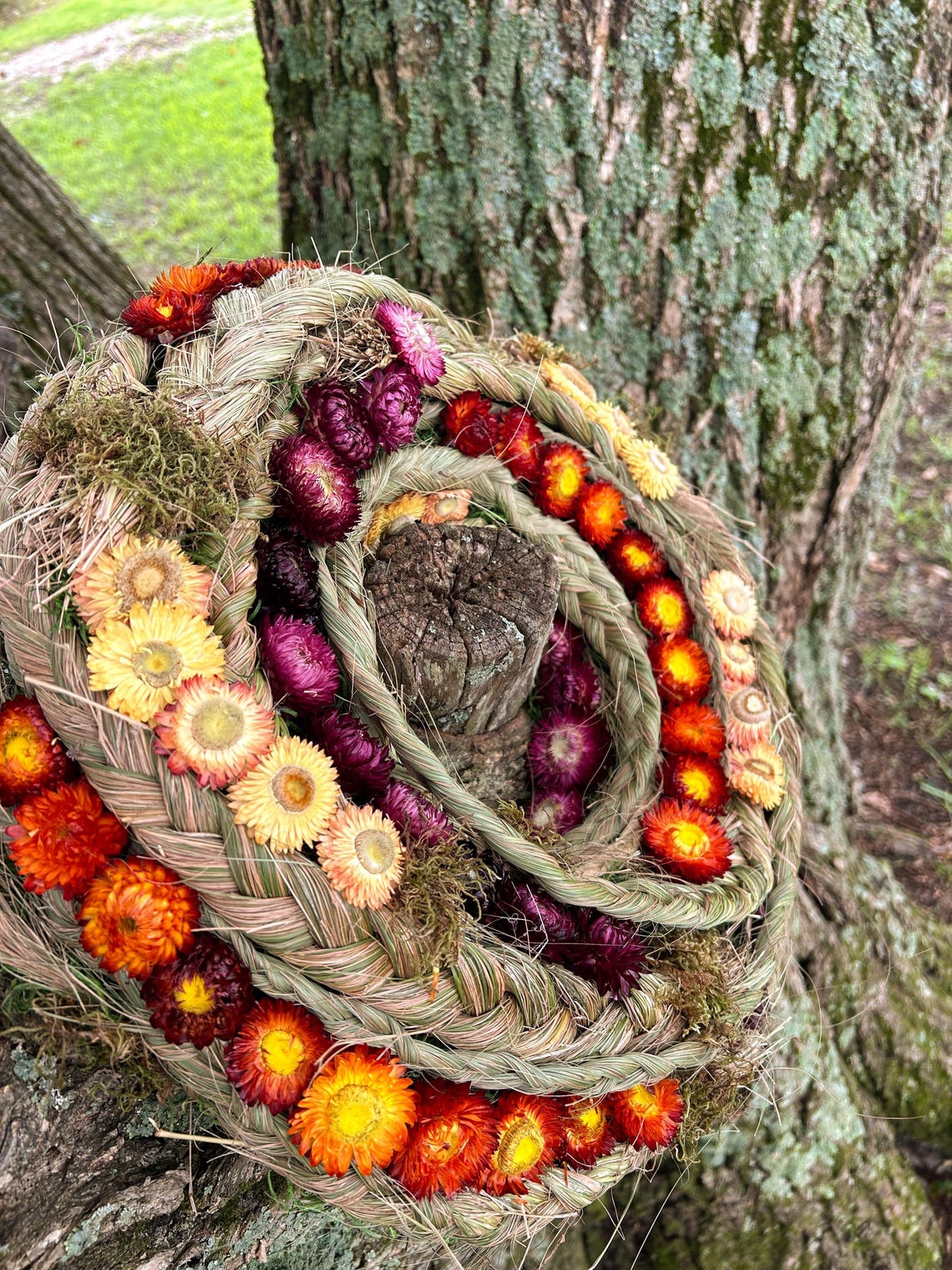 Spiral Weeping Love Grass Wreath With Strawflowers – 16-18" Handmade ...