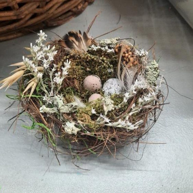 Enchanted Farmstead Nest – Handcrafted With Painted Pecan Eggs - Etsy