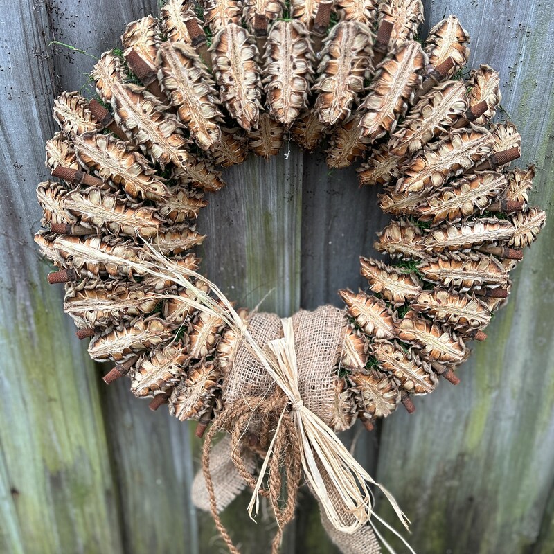 Magnolia Pods - Etsy