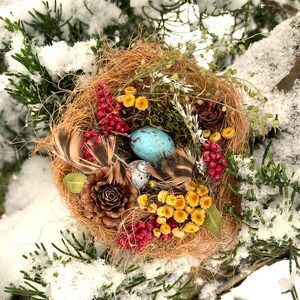 Enchanted Farmstead Nest – Handcrafted With Painted Pecan Eggs - Etsy