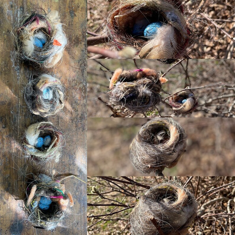 Colorful Spring Bird's Nest Handmade Natural Bird's - Etsy