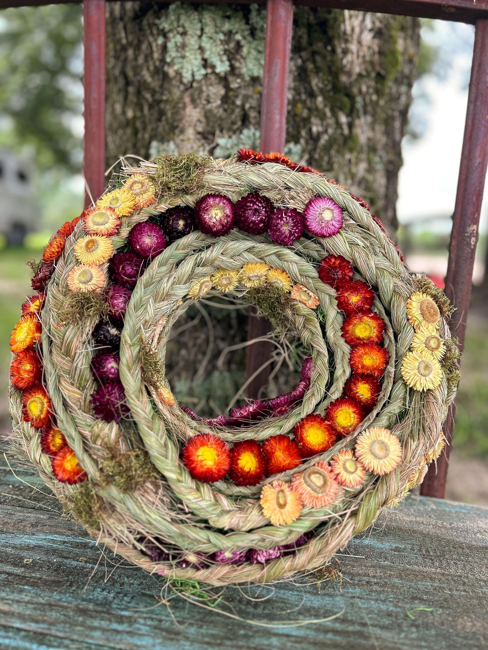 Spiral Weeping Love Grass Wreath With Strawflowers – 16-18" Handmade ...