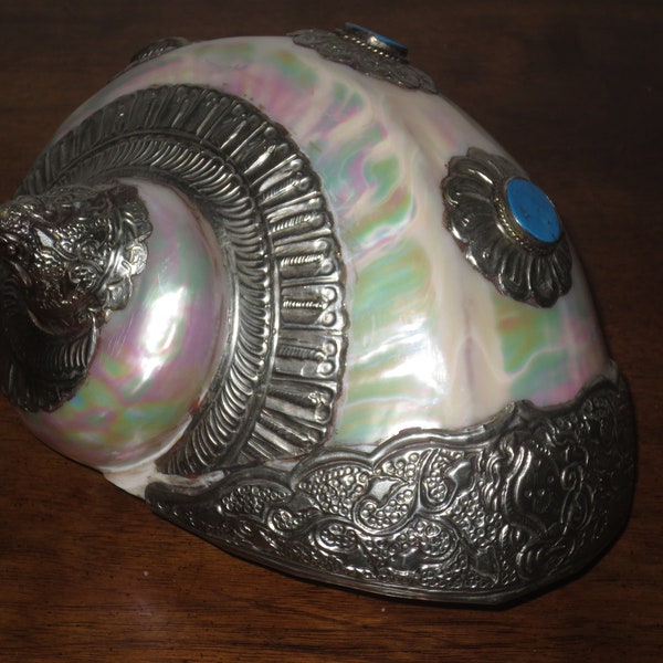 Nautilus Sea Shell - Etsy