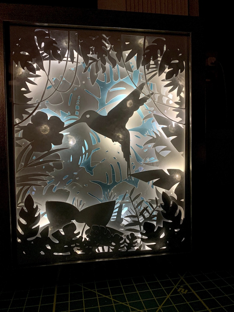 Light up Hummingbird Shadow Box, Illuminated 3D Hummingbird 8x10 Shadow ...