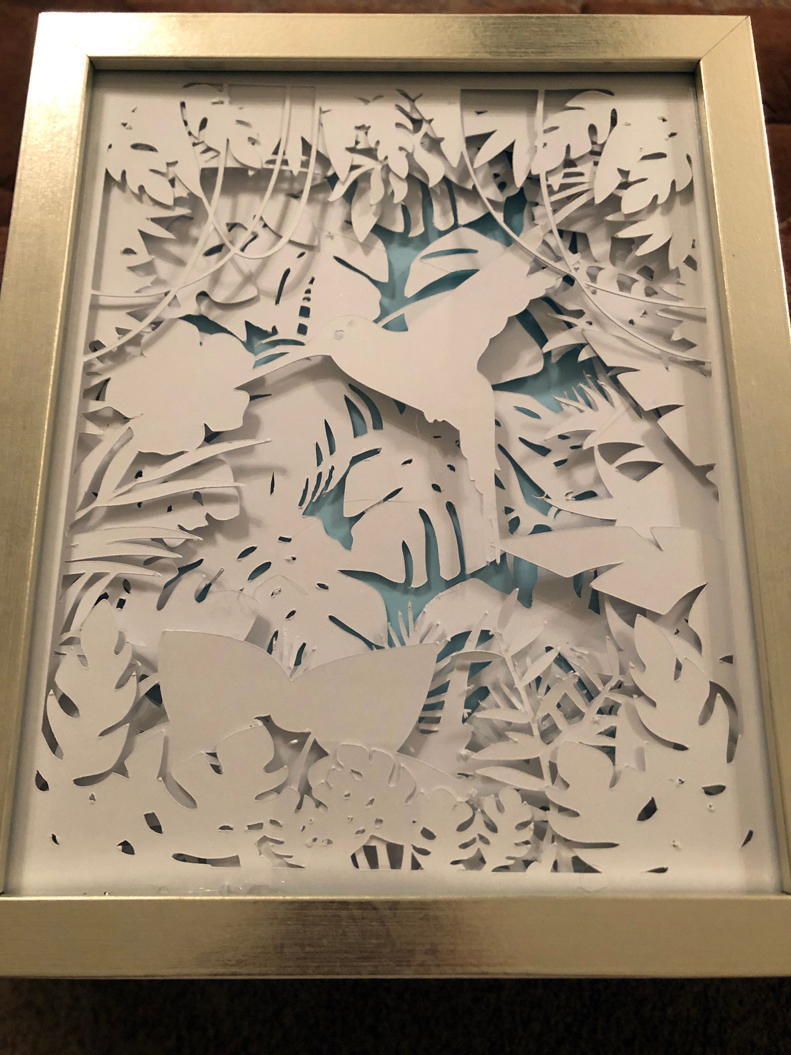 Light up Hummingbird Shadow Box, Illuminated 3D Hummingbird 8x10 Shadow ...