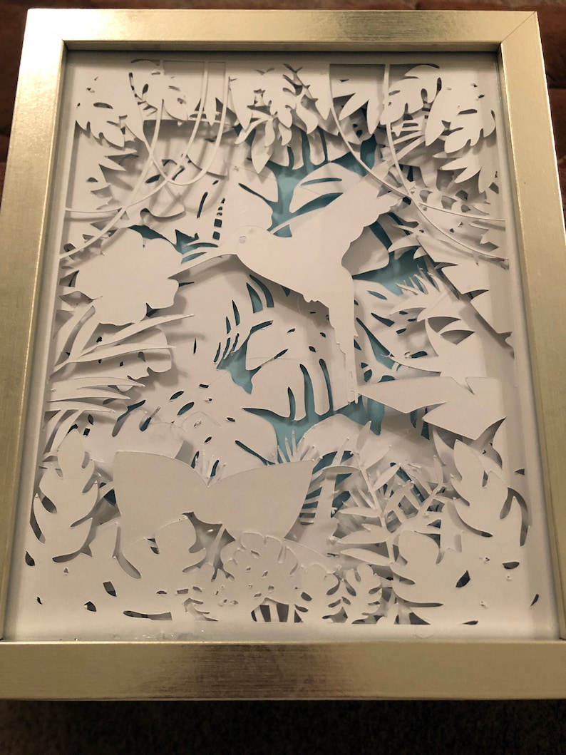 Light up Hummingbird Shadow Box, Illuminated 3D Hummingbird 8x10 Shadow ...