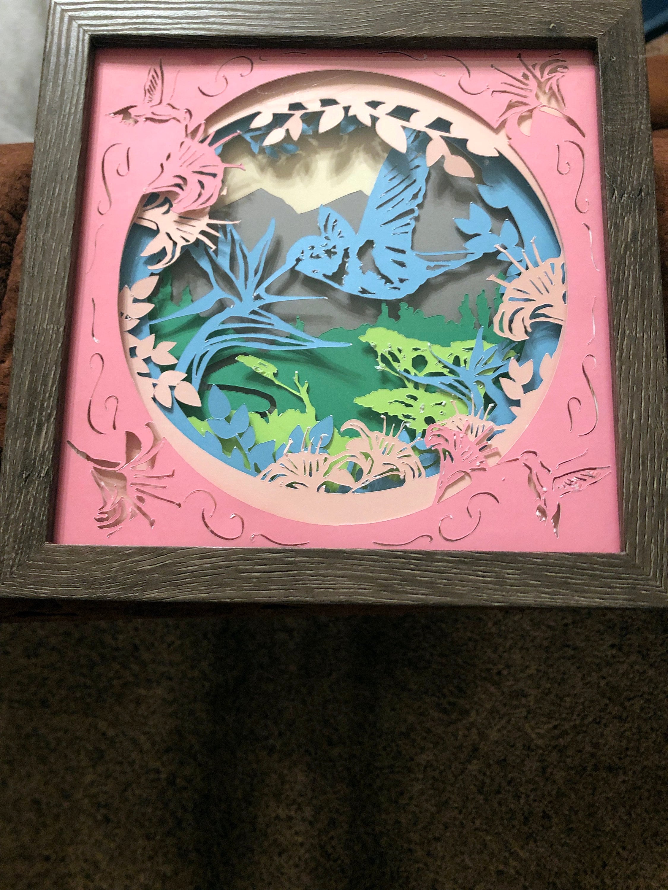 Light up Colored Hummingbird Shadow Box, Illuminated 3D Hummingbird 8x8 ...