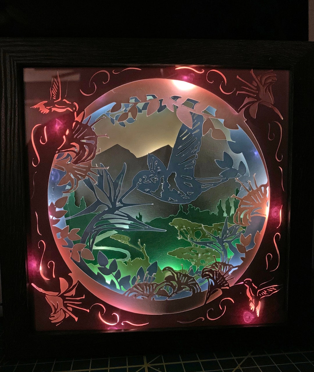 Light up Colored Hummingbird Shadow Box, Illuminated 3D Hummingbird 8x8 ...