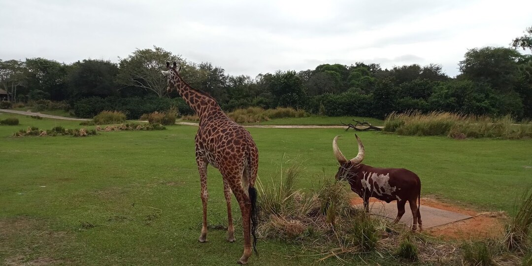 Friends Come in All Shapes, Sizes and Colors. - Etsy