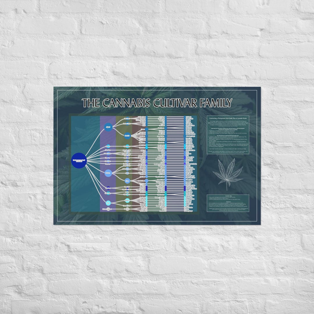 The Cannabis Cultivar Family Poster - 24" X 36" - Etsy