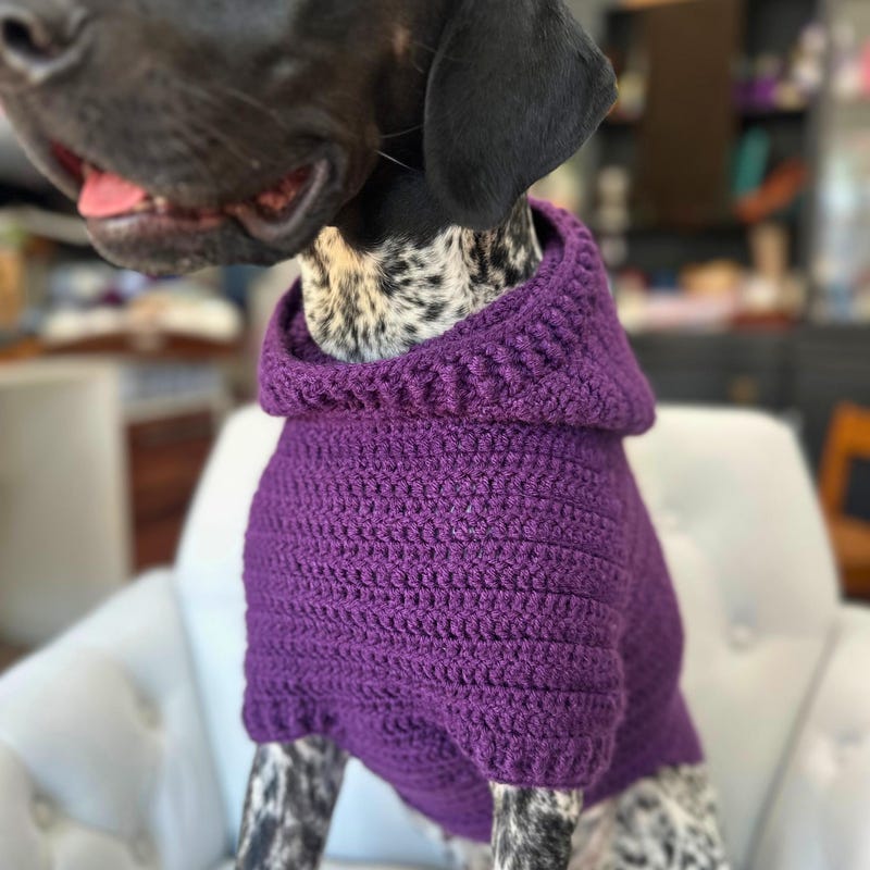 Custom Crochet Pet Pattern - Etsy