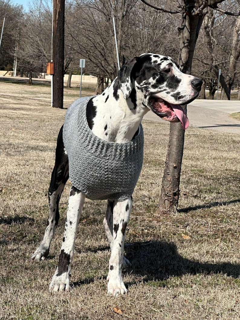 Giant Dog Sweater Crochet Pattern - Etsy