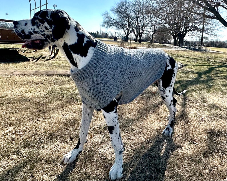 Giant Dog Sweater Crochet Pattern - Etsy