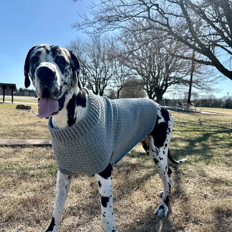 Coat for Great Dane Dog - Etsy