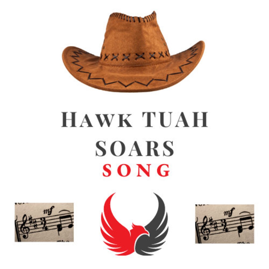 Hawk Tuah Soars Song Downloadable Listenable not for Sale - Etsy