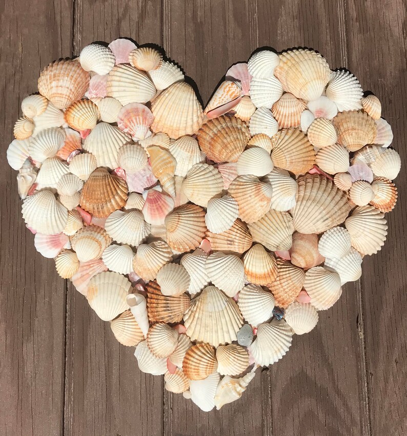 Shell Heart - Etsy
