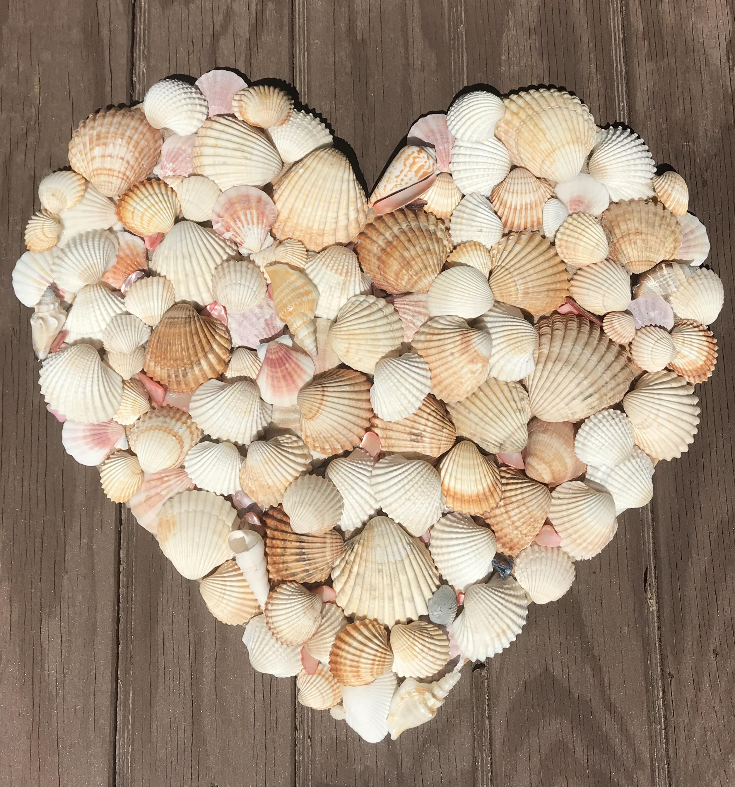 Shell Heart