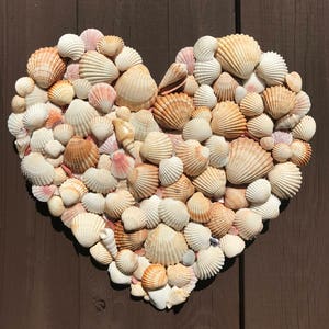 Shell Heart - Etsy
