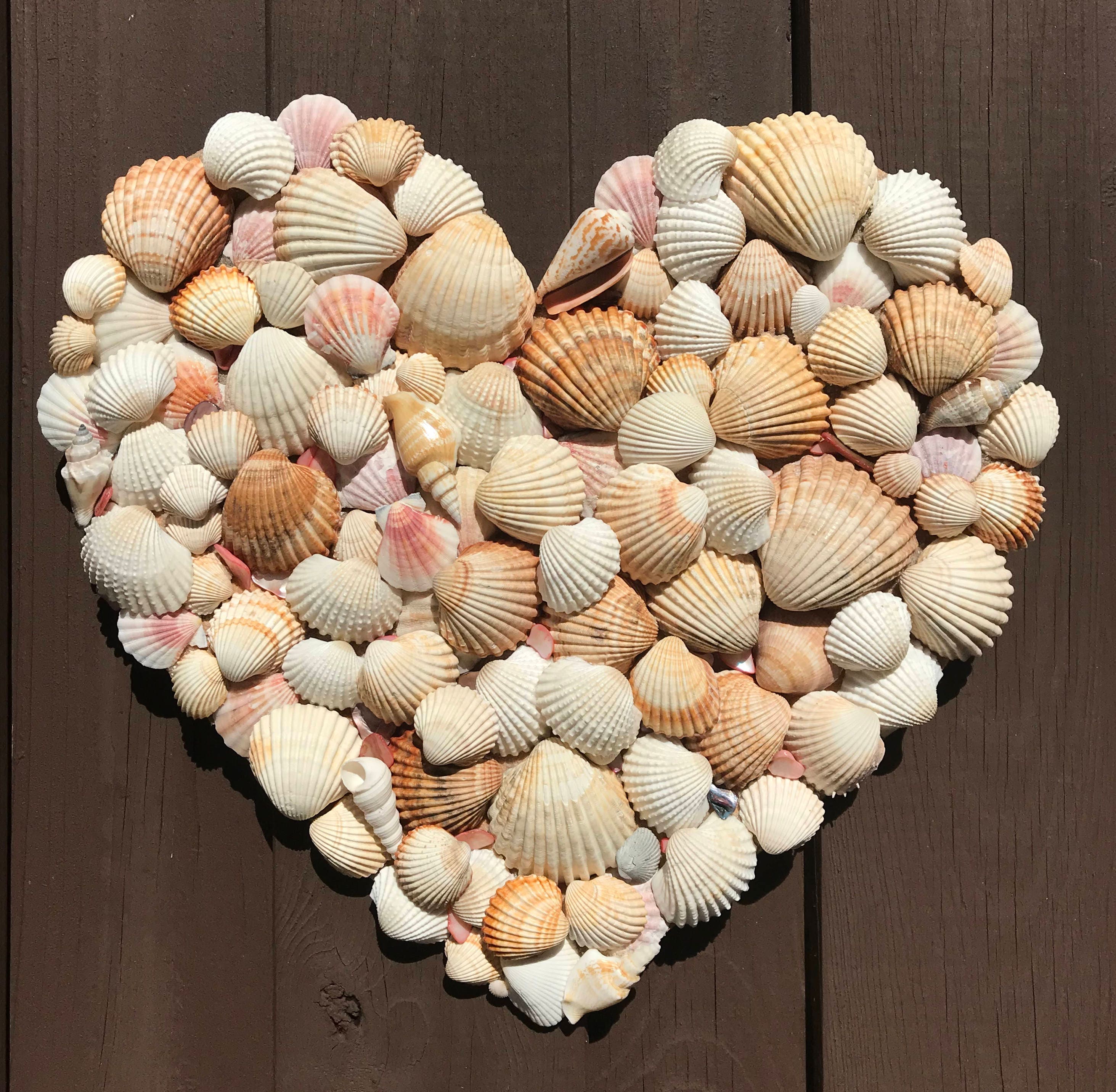Shell Heart - Etsy