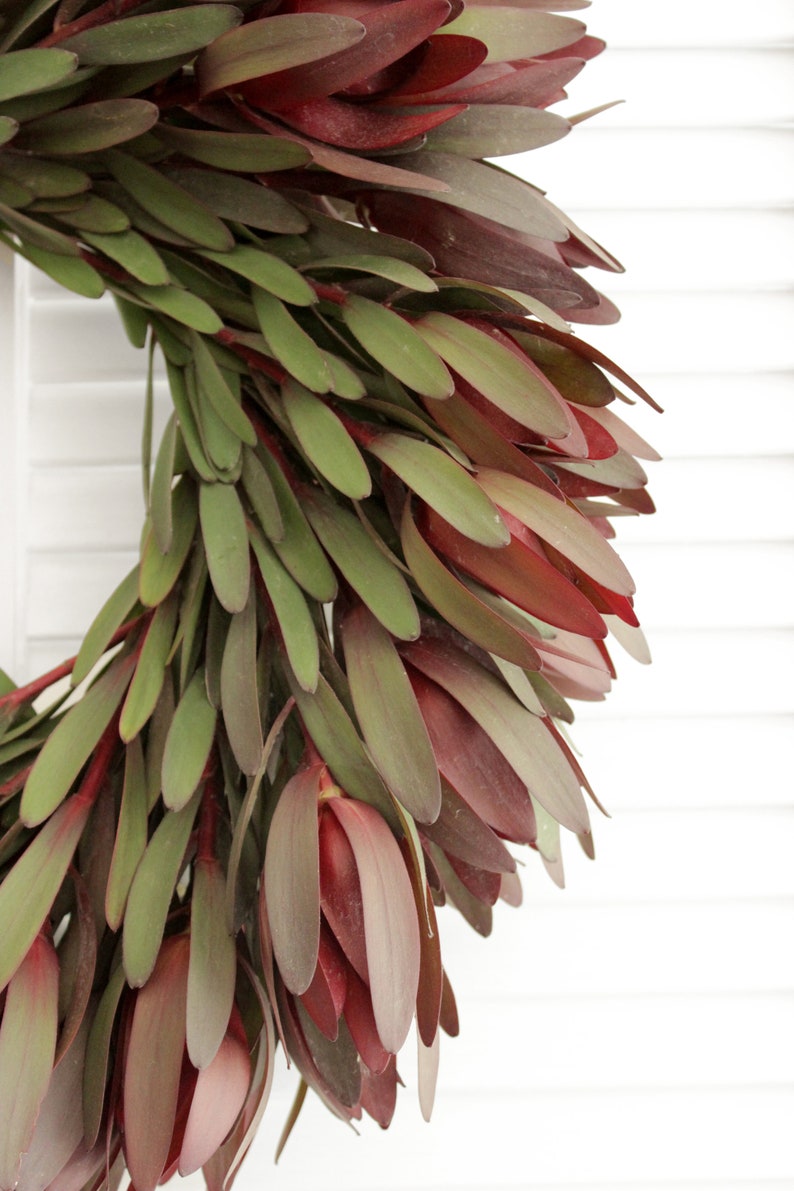 Fresh Handmade Safari Sunset Wreath Greenery Wreath - Etsy