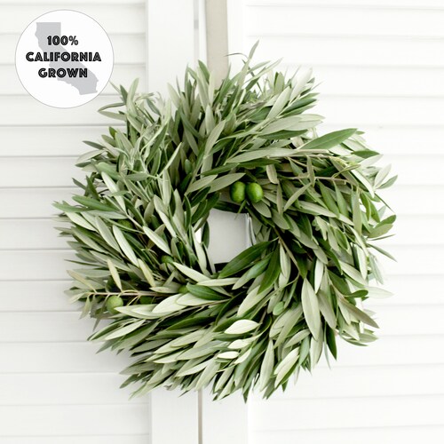 Handmade Fresh Olive Branch Greenery Garland 8 Feet for Home - Etsy