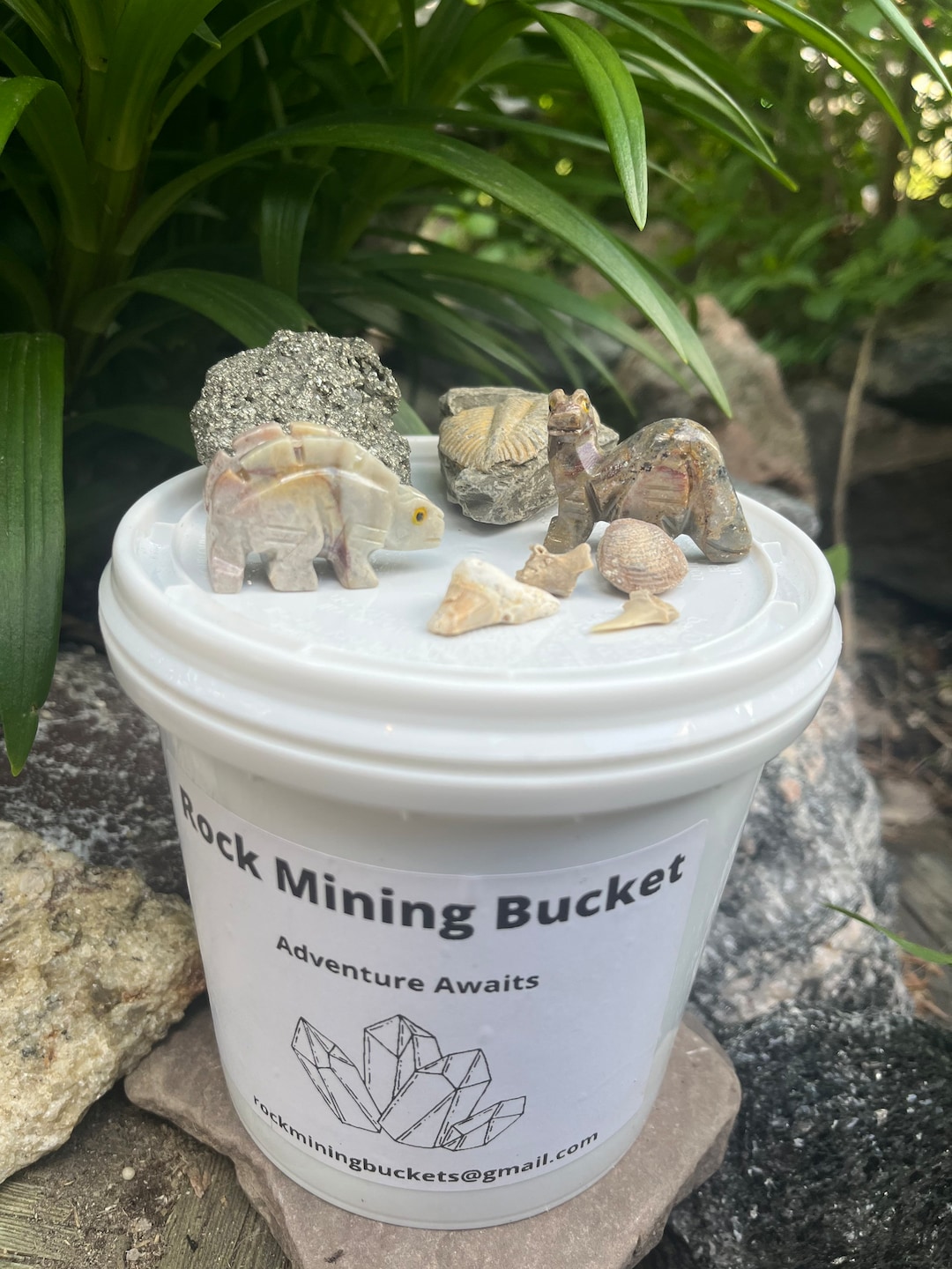 Dinosaur & Fossil Rock Mining Bucket,dinosaurs,adventure,exploration ...