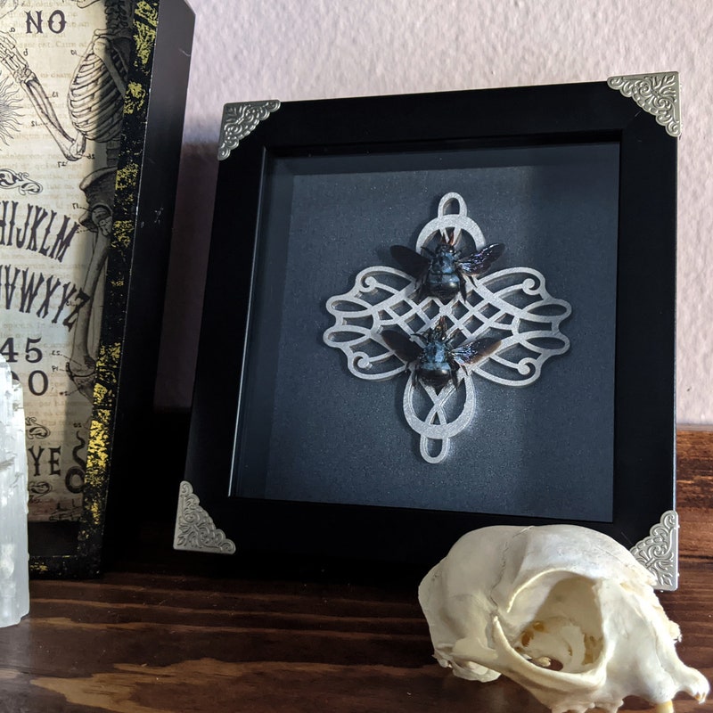 Bee Shadow Box - Etsy